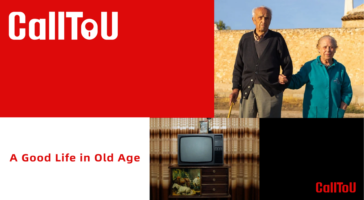 Exciting News: CallTou's New Corporate Logo! – CallToU